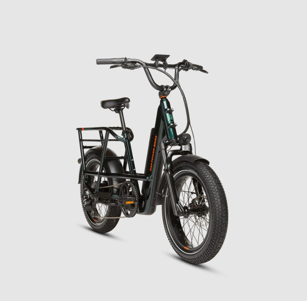 RadRunner™ Max Electric Cargo Utility Bike – Electric Bike Factory LLC
