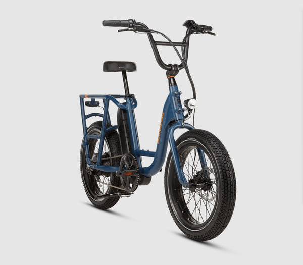 RadRunner™ Electric Cargo Utility Bike – Electric Bike Center